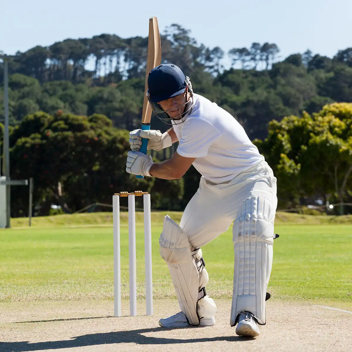 Cricket Warm-up Routine Landing Page - Invigorate Health and Performance